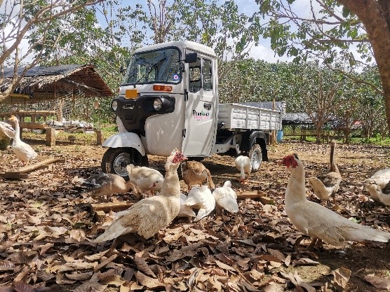 Bajaj Maxima Cargo: Your Three-Wheeled Ally for Success - Lifestyle On ...